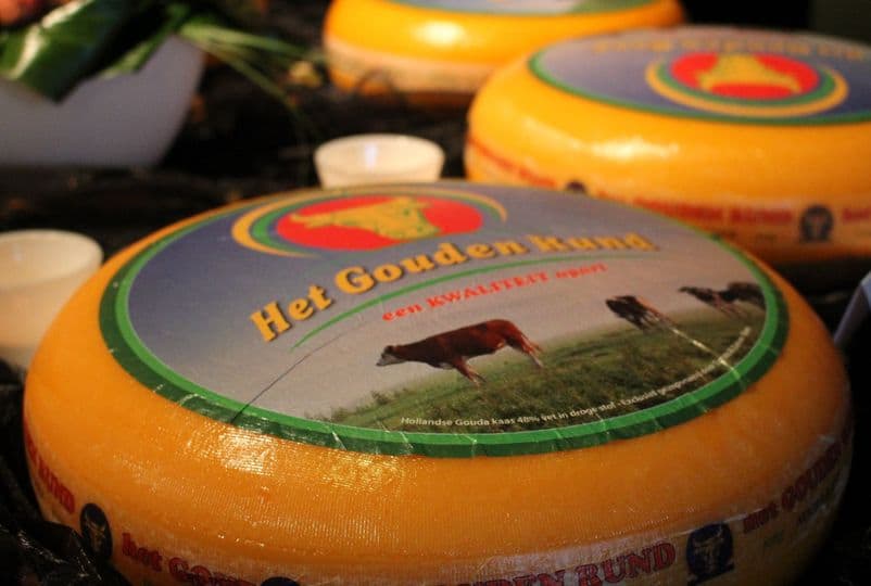 Noord Hollandse kaas - Het Gouden Rund | Vers groothandel